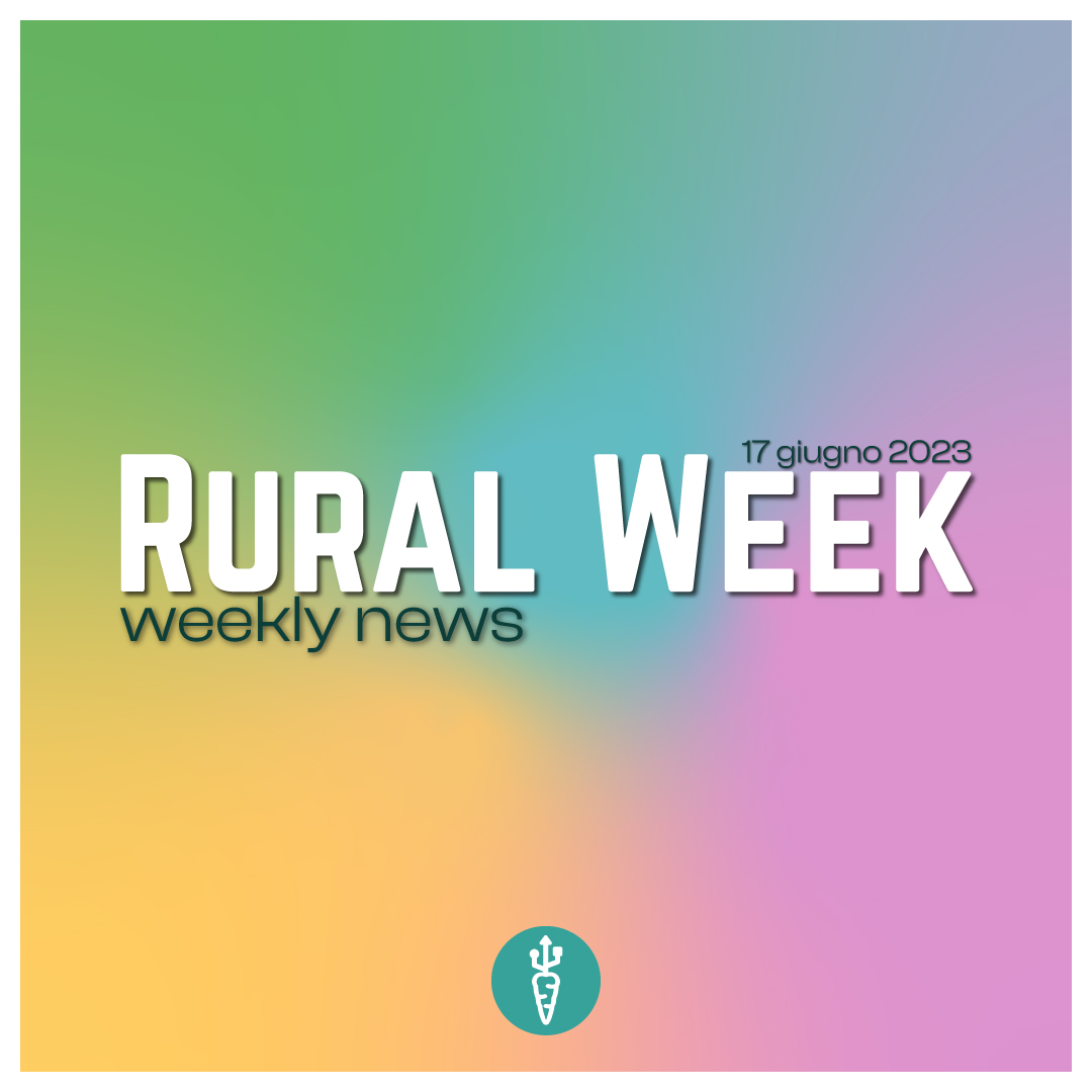 Il meglio della settimana (17 Giugno 2023) - Rural Hack