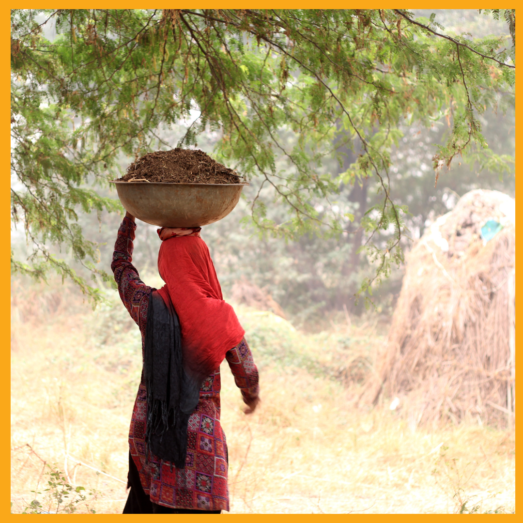 "The Unjust Climate": come il cambiamento climatico colpisce le donne rurali - Rural Hack