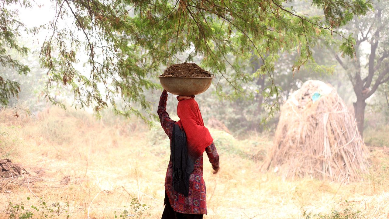 "The Unjust Climate": come il cambiamento climatico colpisce le donne rurali - Rural Hack