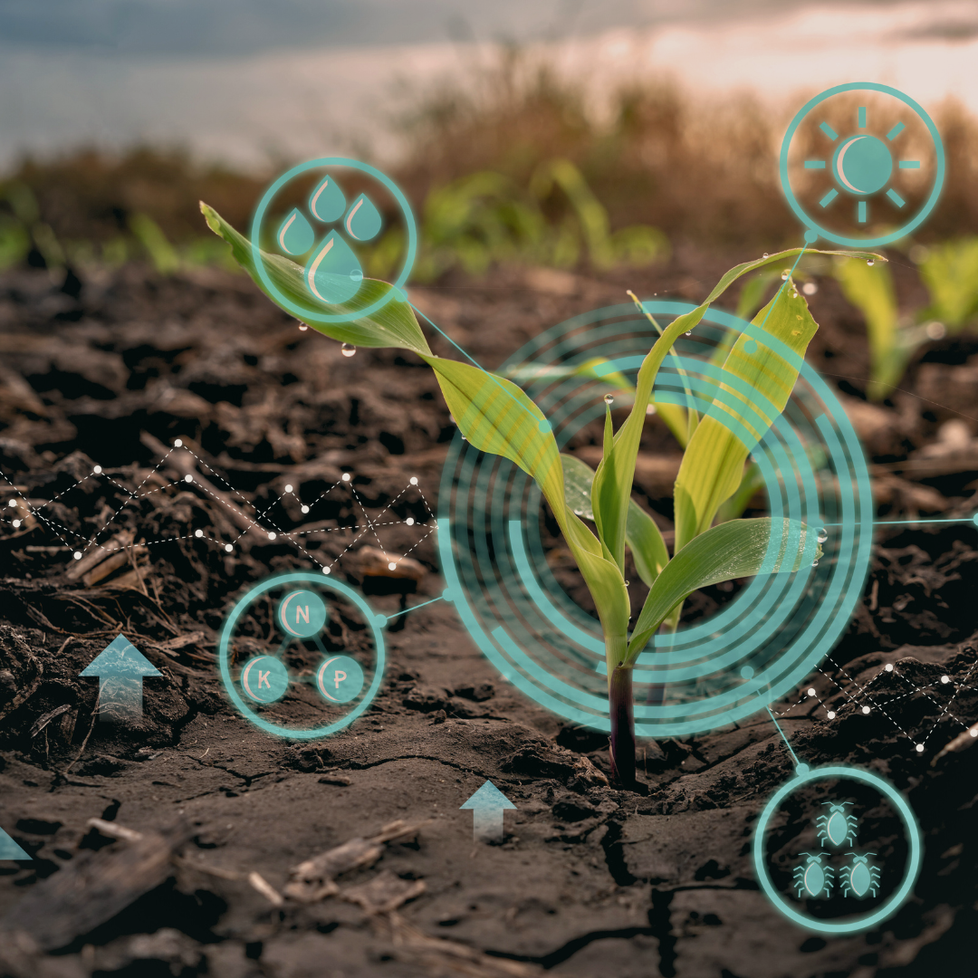 Agricoltura integrata: di cosa parliamo? - Rural Hack