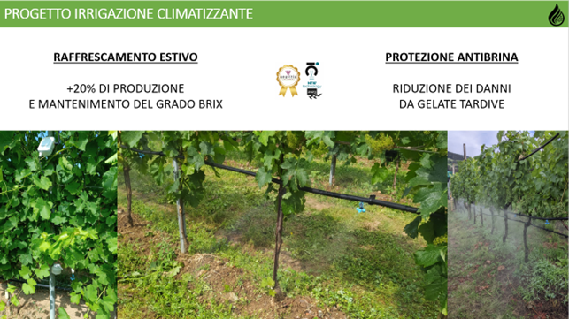 La sostenibilità non è più un mantra, ma una leva di vantaggio ...
